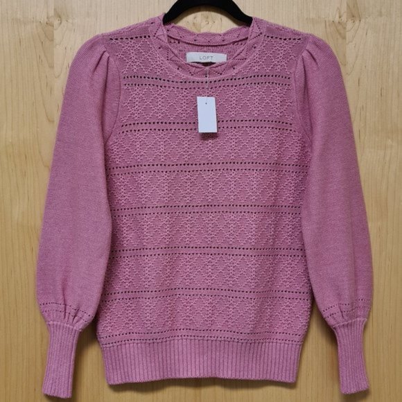 LOFT | Sweaters | Nwt Loft Berry Pointelle Sweater | Poshmark